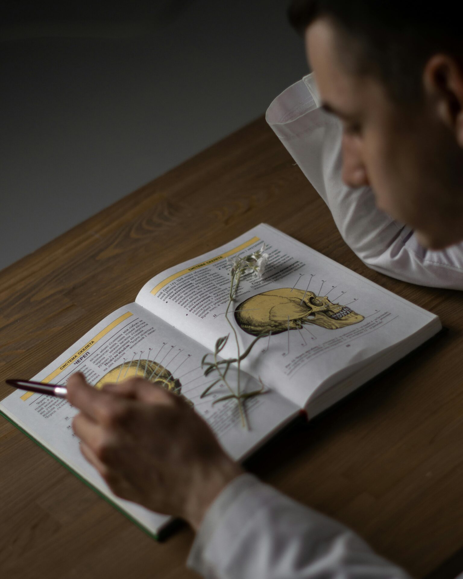 How to Read Textbooks More Effectively – Learnhall Blog